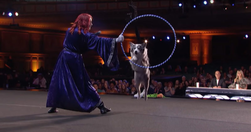 AGT Magic & Dog Tricks That’ll Grip & Entertain You, Now That’s A Combo