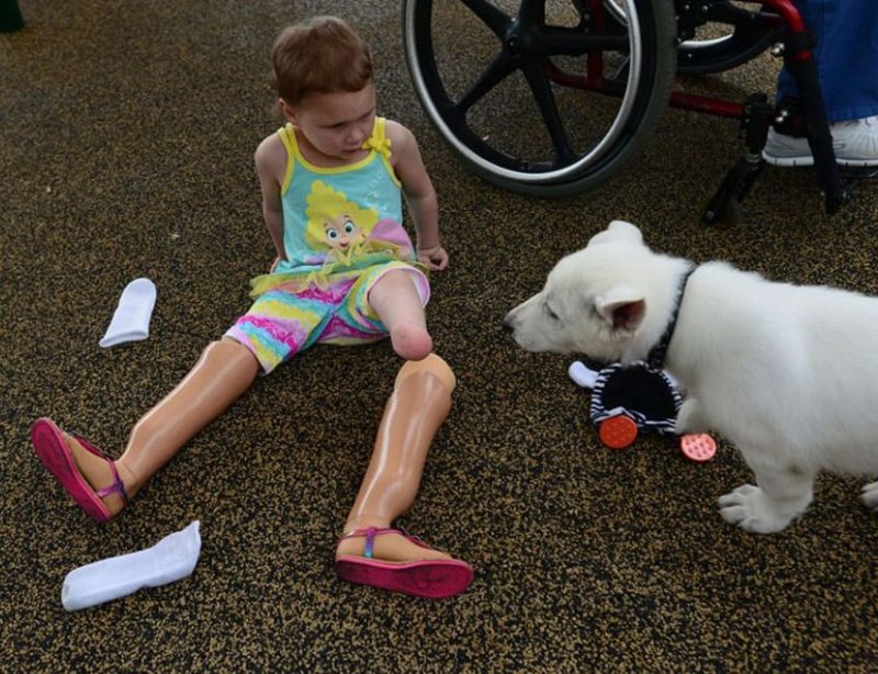 "That's my pup, He's just like me," a toddler born without feet said ...