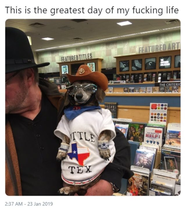 These 7 adorable dog tweets that will brighten your day