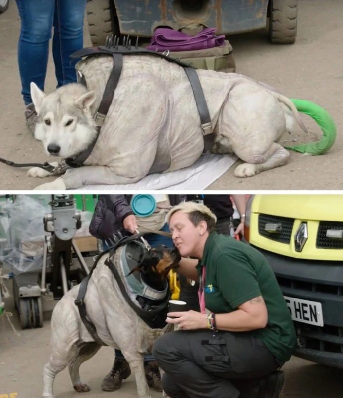 Behind-the-Scenes Pictures That Show What Actually Happens on Movie Sets